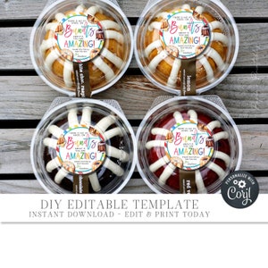 EDITABLE Bundt Cake Appreciation Label, No Ifs, Ands or Bundts ...