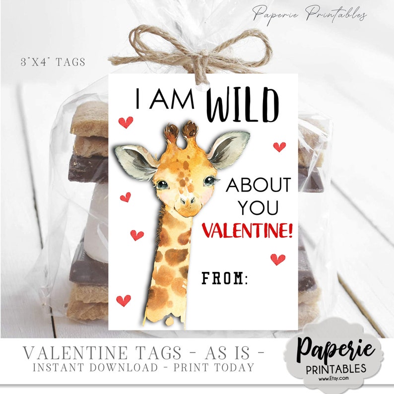 Zoo Animal Valentine Cards for Kids (instant Download) - Etsy