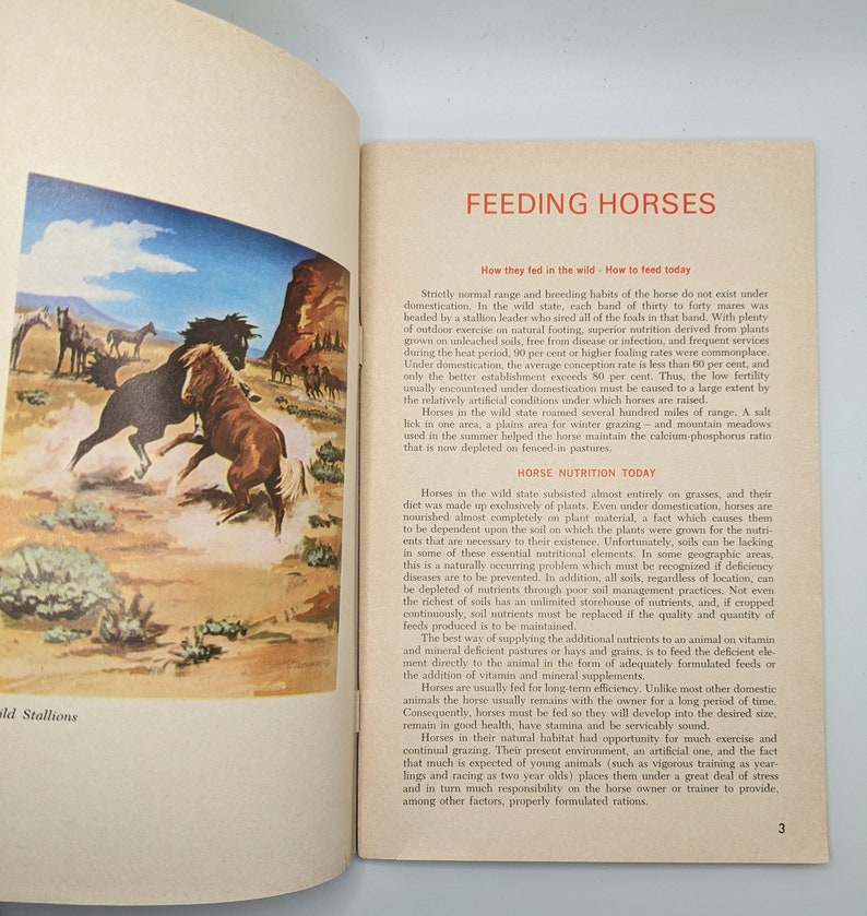 Vintage Lot 1930 50s 4 H Horses Horsemanship Guides Manuals Etsy Vintage Lot 1930 50s 4 H Horses Horsemanship Guides Manuals Etsy