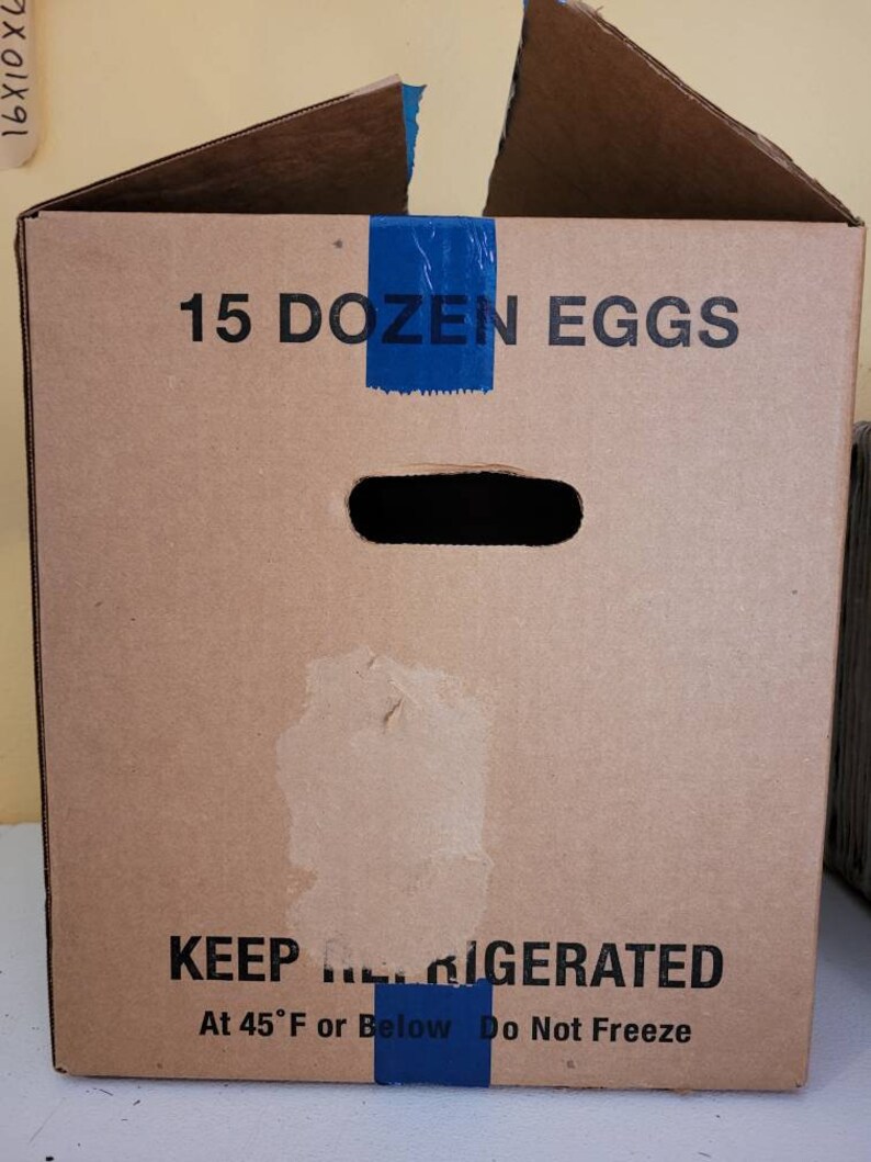 36 Pcs Egg Paper-pulp Flats 30 CT Eggs per Flat. Crafts - Etsy