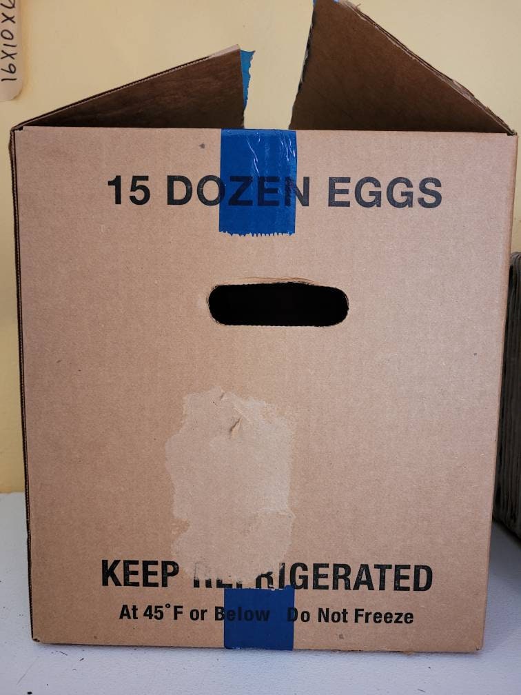 40 Pcs Egg Paper-pulp Flats 30 CT Eggs per Flat. Crafts, Storage, Bulk ...