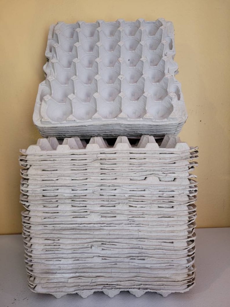 200 Pcs Egg Paper-pulp Flats 30 CT Eggs per Flat. Crafts - Etsy
