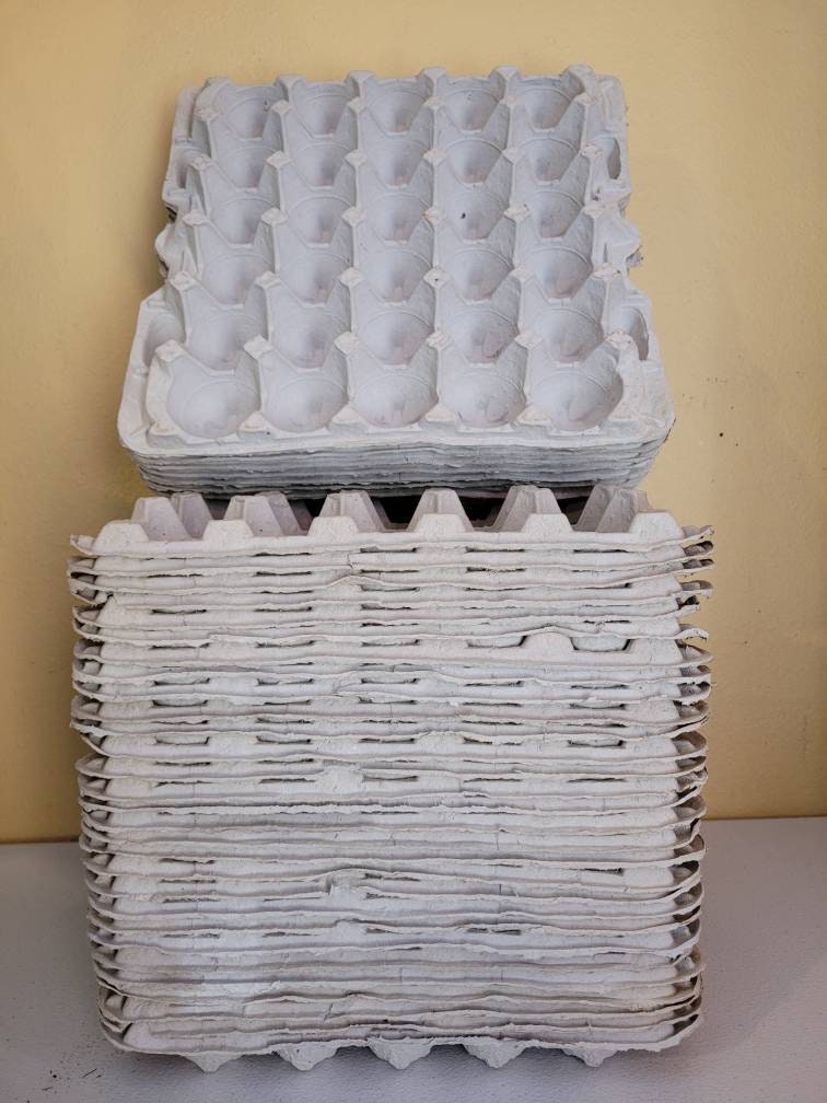 36 Pcs Paper-pulp Egg Flats, Biodegradable 30-egg Cartons - Etsy