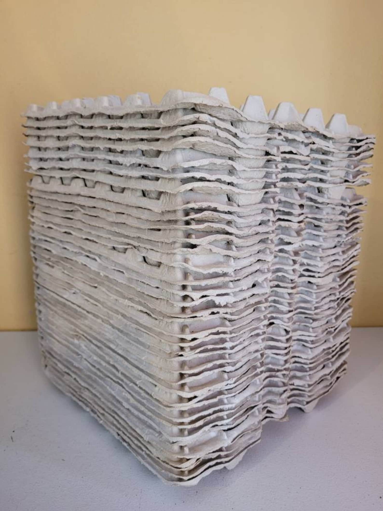 40 Pcs Egg Paper-pulp Flats 30 CT Eggs per Flat. Crafts, Storage, Bulk ...