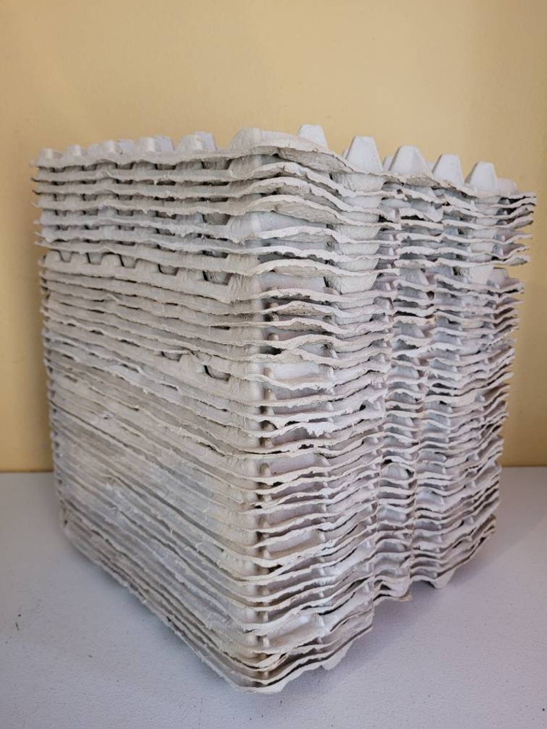 200 Pcs Egg Paper-pulp Flats 30 CT Eggs per Flat. Crafts - Etsy
