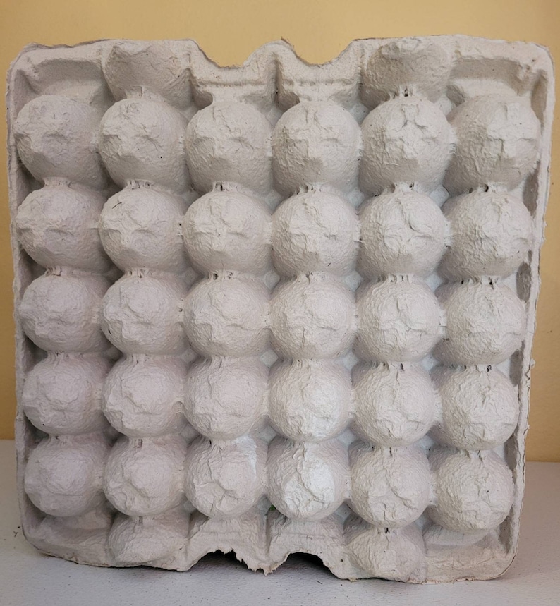 200 Pcs Egg Paper-pulp Flats 30 CT Eggs per Flat. Crafts - Etsy