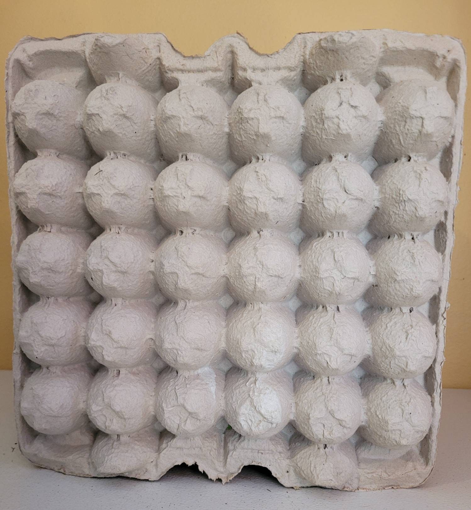 40 Pcs Egg Paper-pulp Flats 30 CT Eggs per Flat. Crafts, Storage, Bulk ...