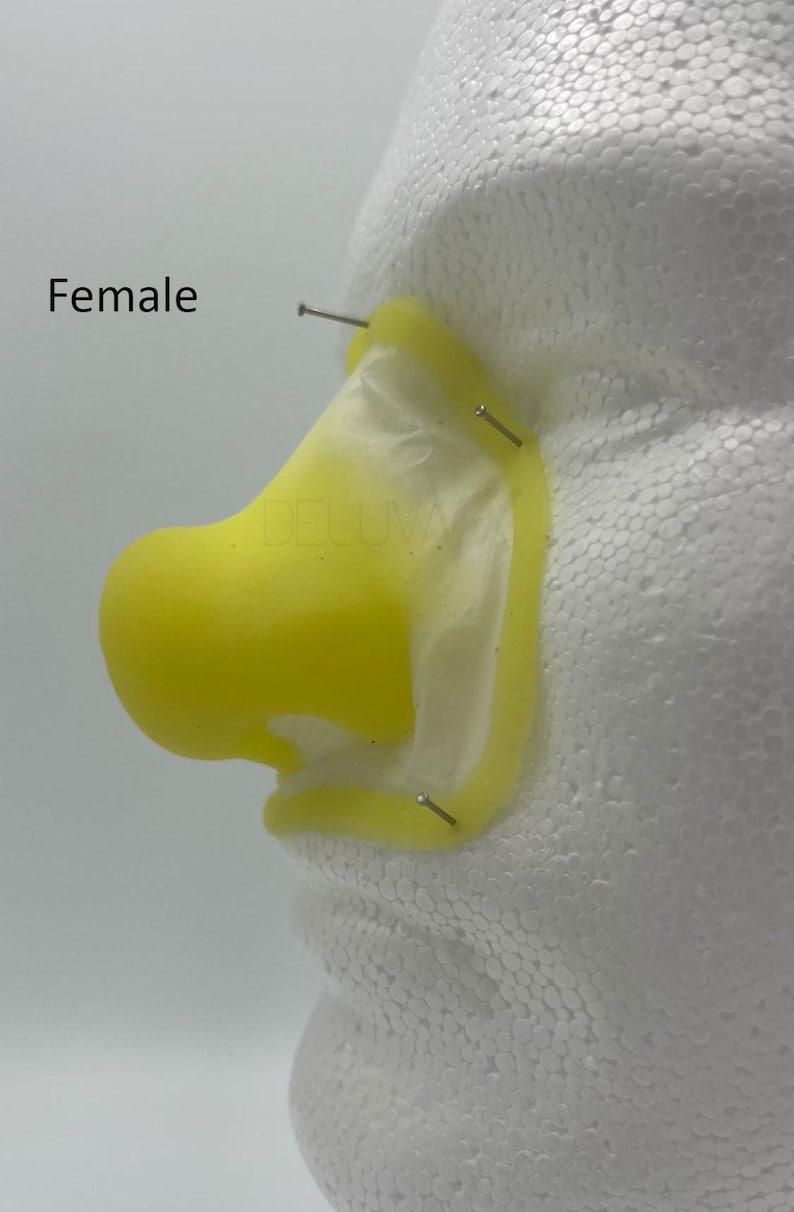 Shrek / Fiona Inspired Ogre Nose & Ears Prosthetic. Soft Encapsulated ...