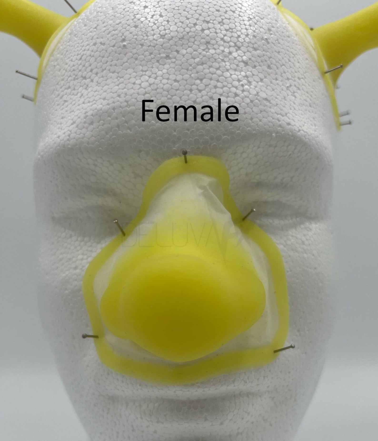 Shrek / Fiona Inspired Ogre Nose & Ears Prosthetic. Soft Encapsulated ...