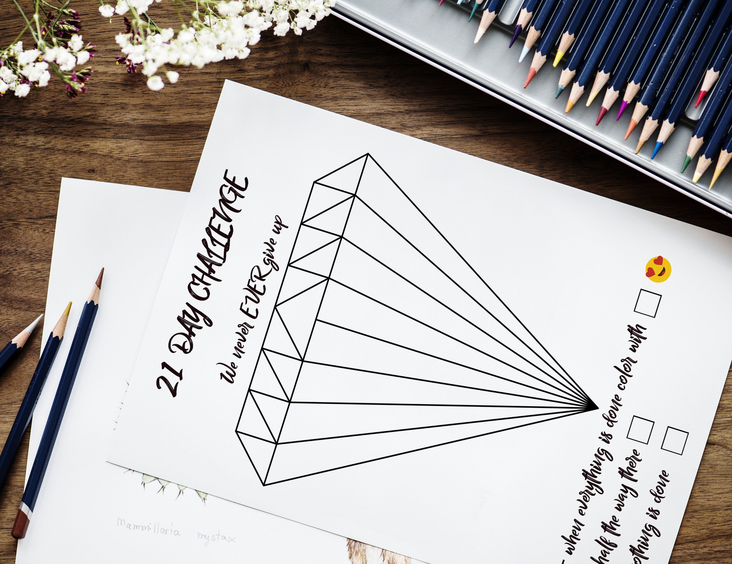 21 Day Challenge Tracker- Instant Download Image - New Year Challenge ...