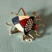 Patriotic Roach Brooch Insect Pin Red White and Blue Bug - Etsy