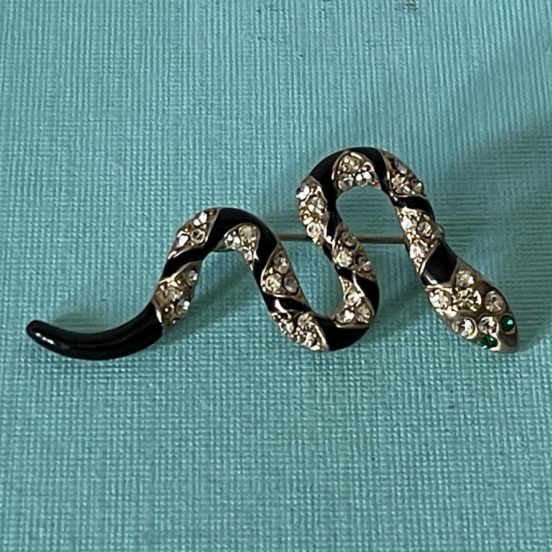 Snake Pins - Etsy