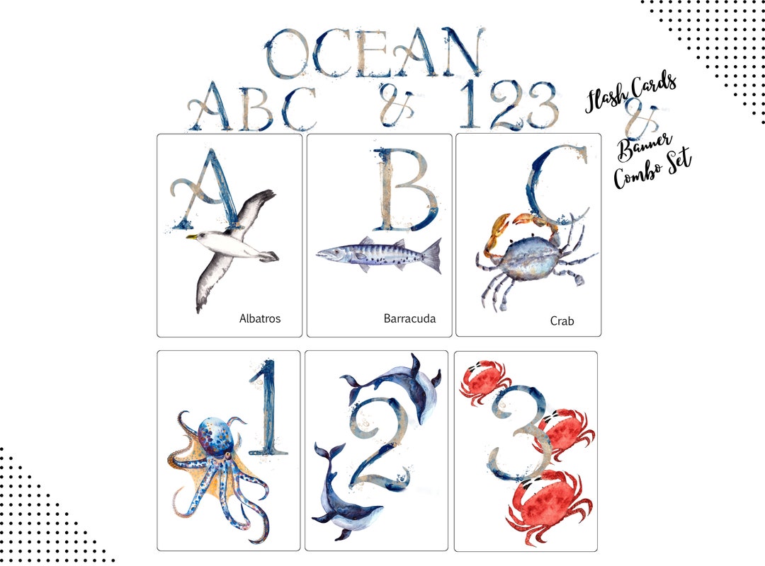 Preschool Ocean Unit Study Set, Kindergarten Ocean Theme, Ocean Flash ...