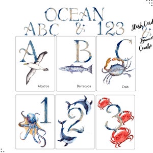 Preschool Ocean Unit Study Set, Kindergarten Ocean Theme, Ocean Flash ...