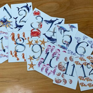 Ocean Animals Number Flash Cards 1-12, Preschool Flash Cards, Preschool ...