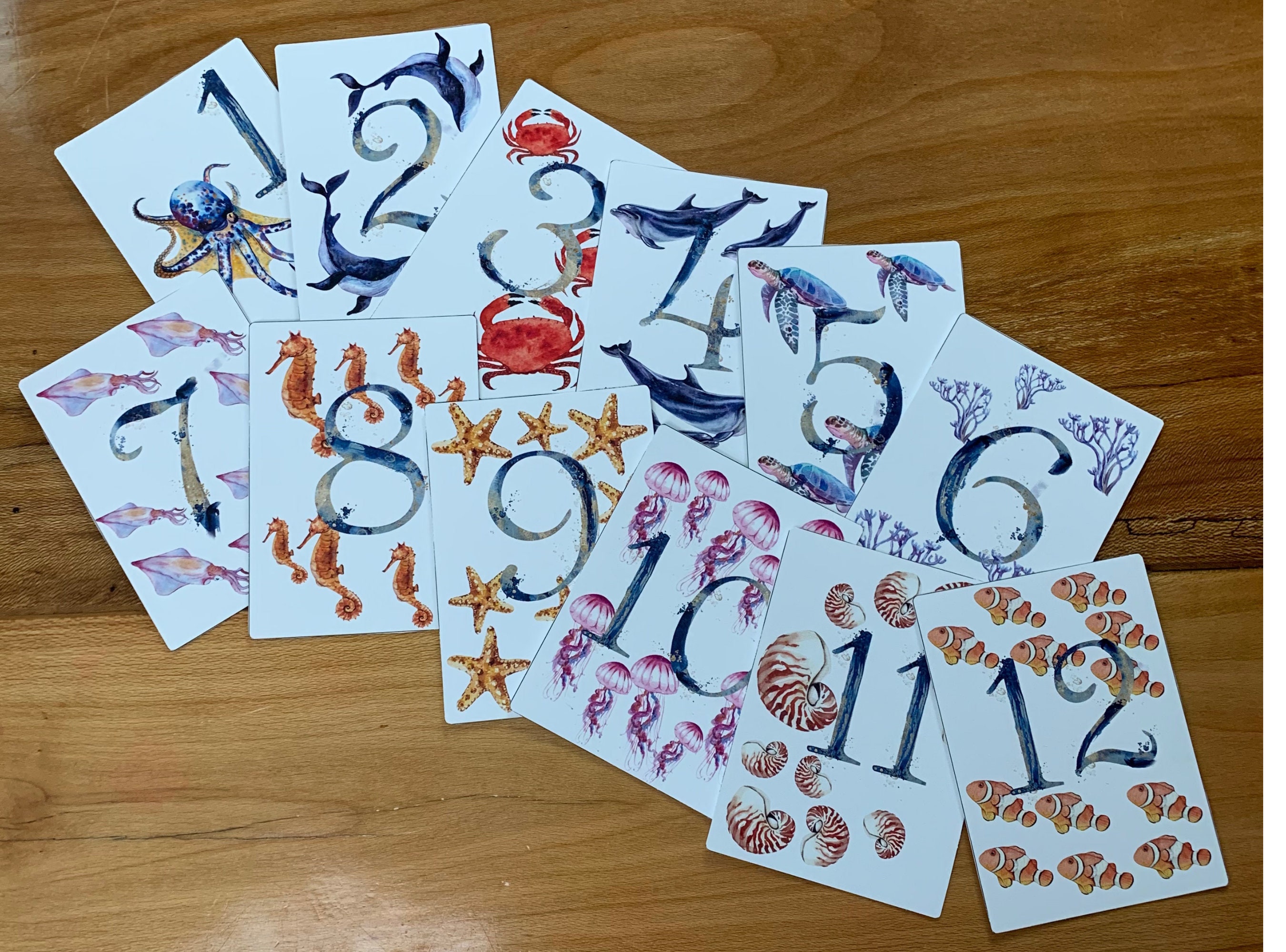 Ocean Animals Number Flash Cards 1-12, Preschool Flash Cards, Preschool ...