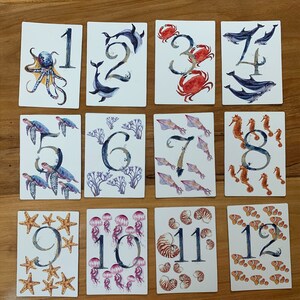 Ocean Animals Number Flash Cards 1-12, Preschool Flash Cards, Preschool ...