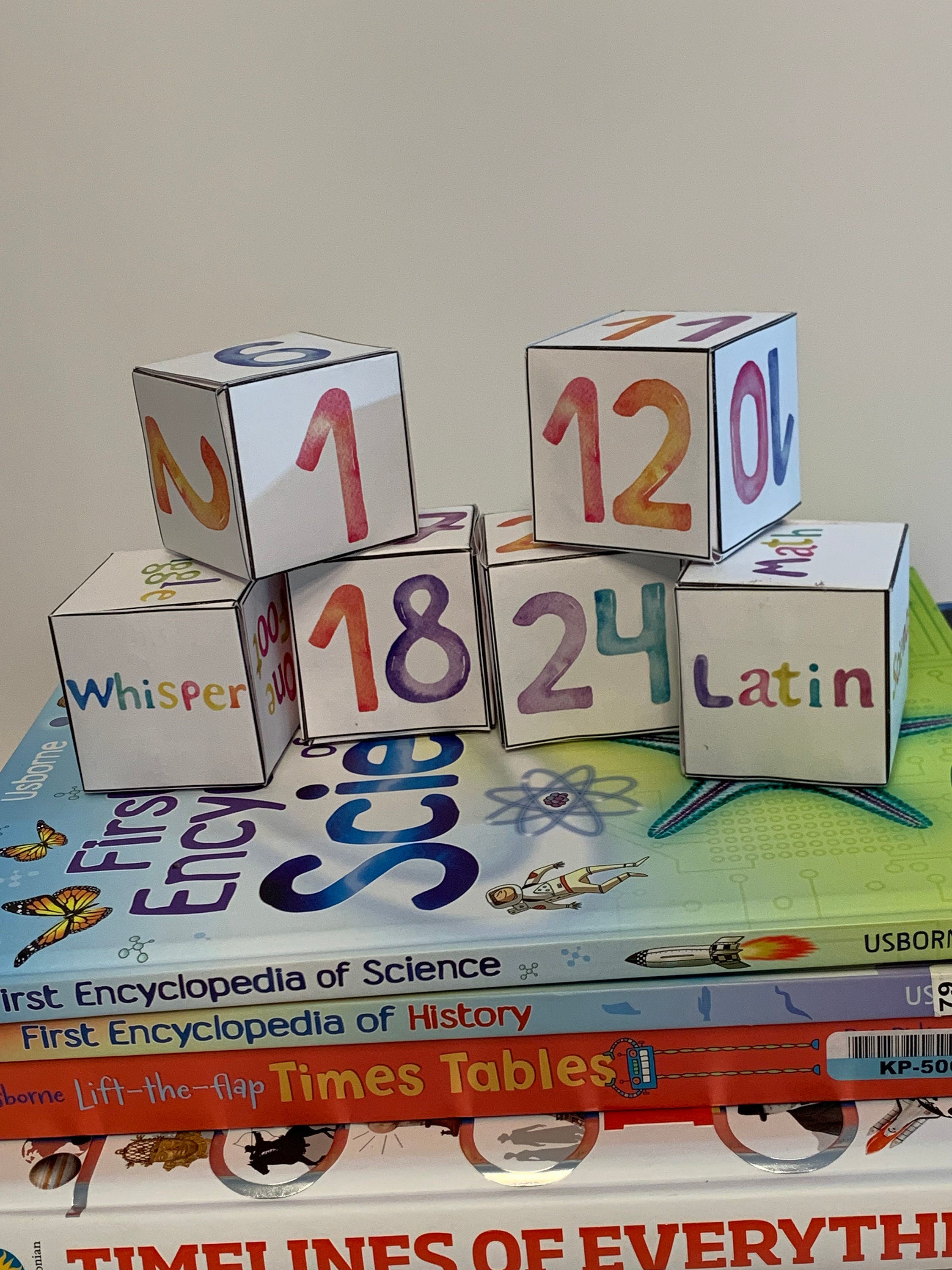 Classical Conversations Review Game Dice Community Day - Etsy