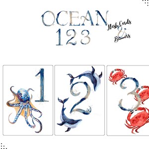 Preschool Ocean Unit Study Set, Kindergarten Ocean Theme, Ocean Flash ...