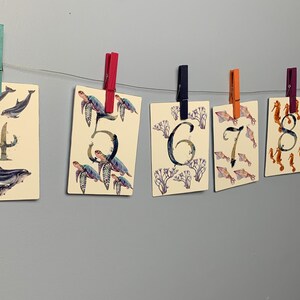 Ocean Animals Number Flash Cards 1-12, Preschool Flash Cards, Preschool ...