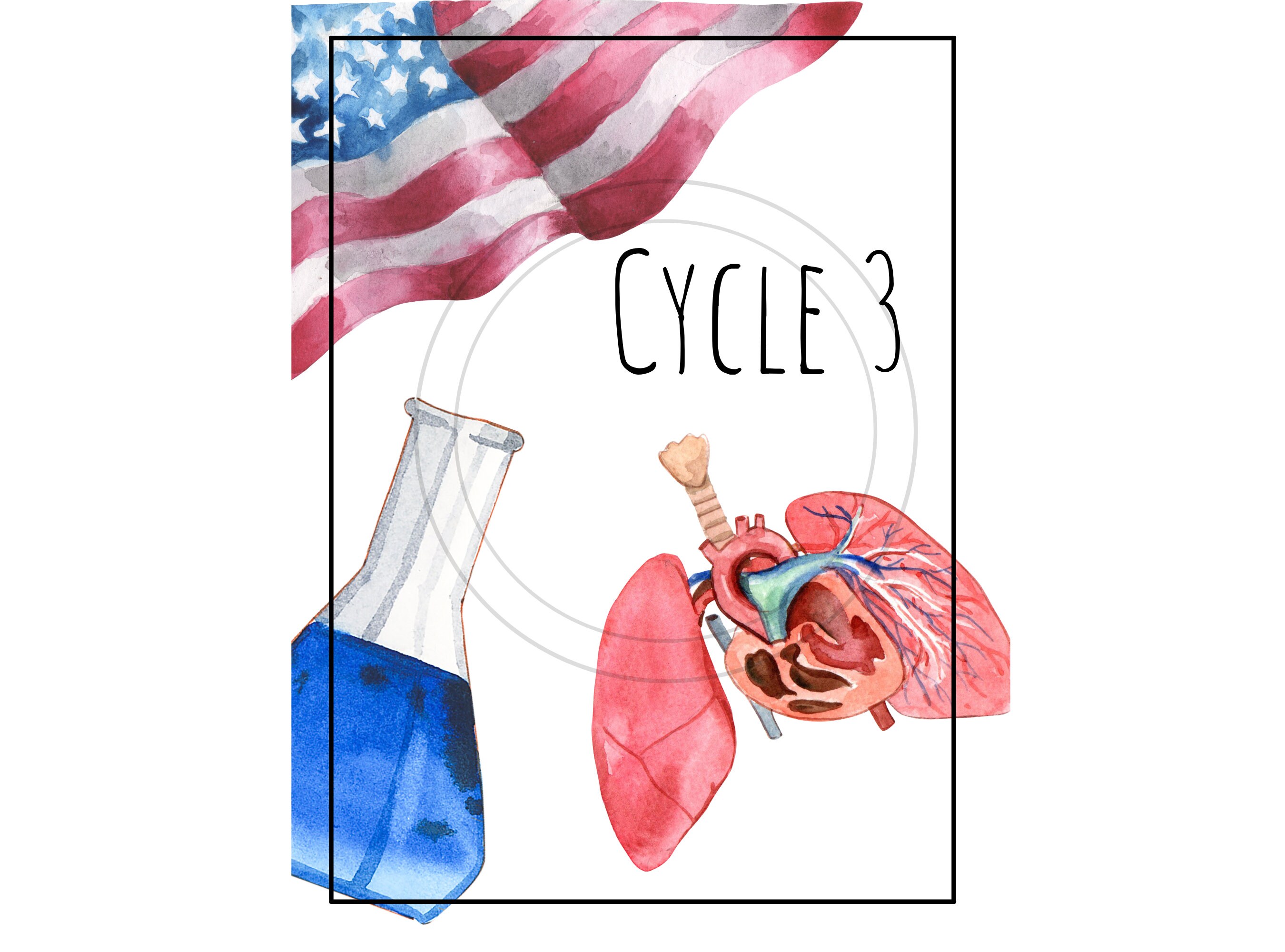 CC Cycle 1-3 Planner, CC Cycle 2 Planner, CC Cycle 3 Planner, Classical ...