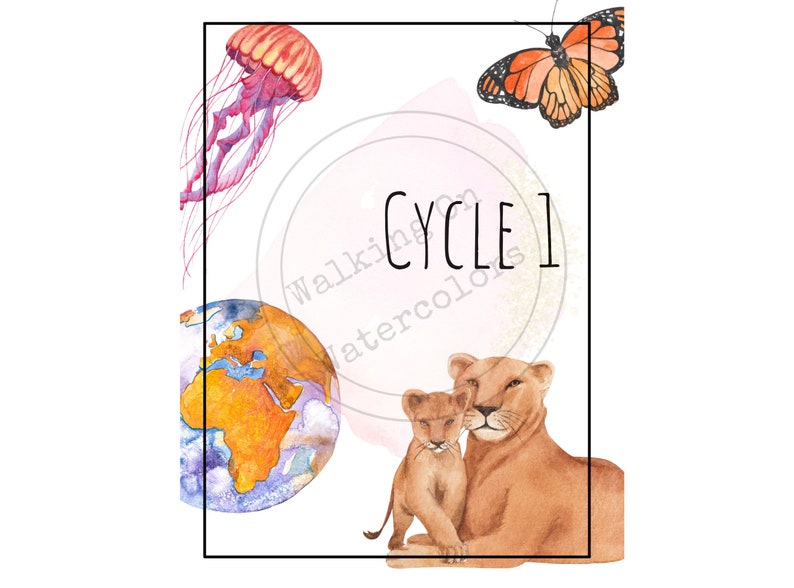 CC Cycle 1-3 Planner, CC Cycle 2 Planner, CC Cycle 3 Planner, Classical ...