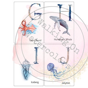 Preschool Ocean Unit Study Set, Kindergarten Ocean Theme, Ocean Flash ...