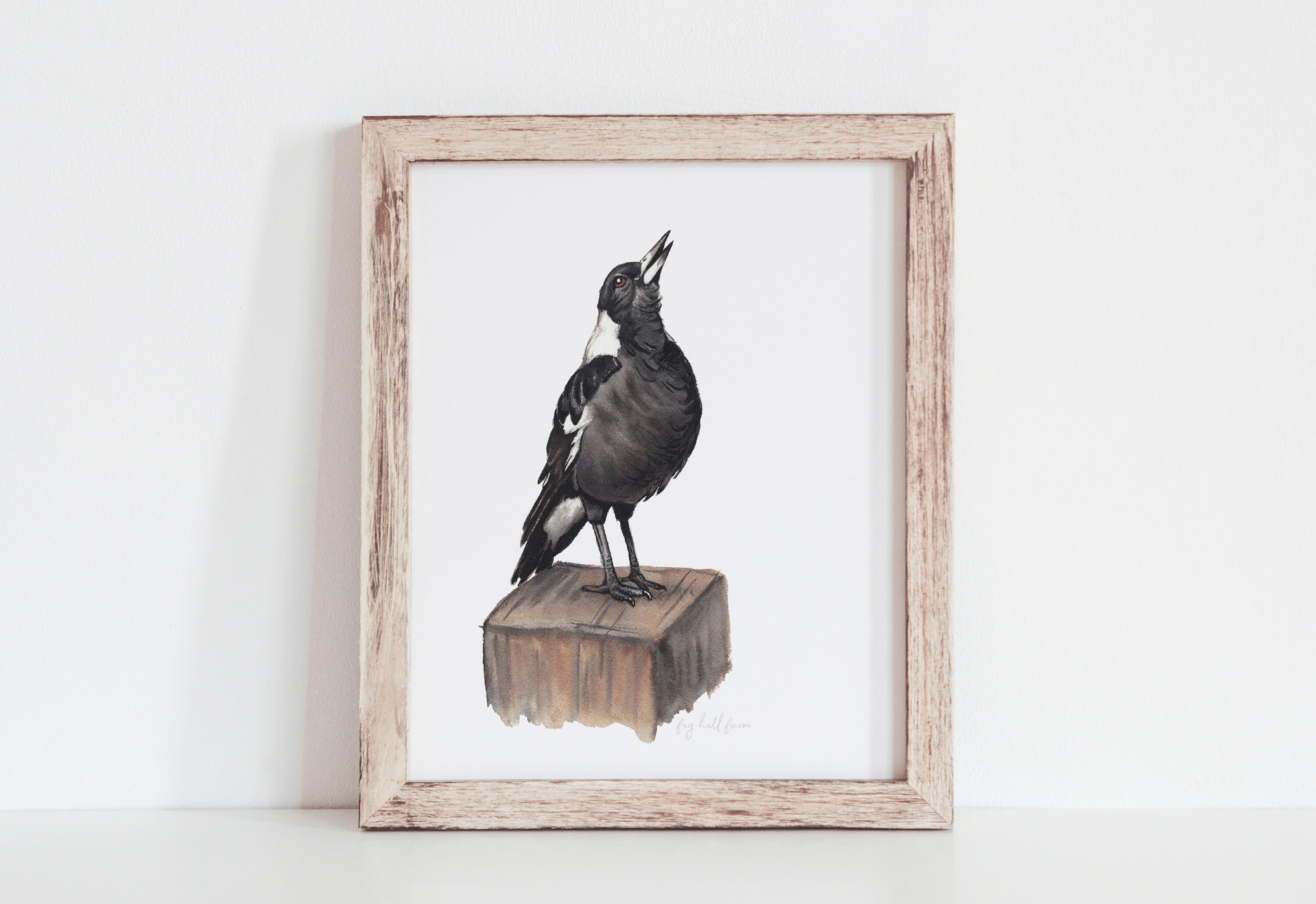 Magpie Art, Instant Digital Download, Printable Art, Australian Bird ...