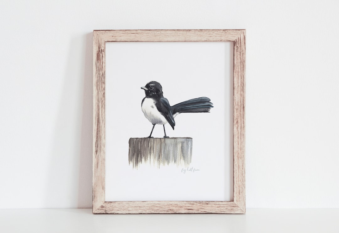 Willy Wagtail Art, Instant Digital Download, Printable Art, Australian ...