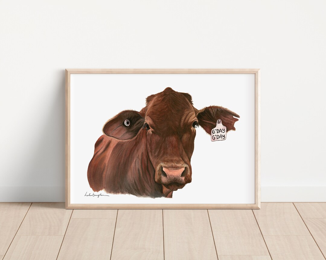 Ruth Droughtmaster Cow Art, Heifer Artwork, Cattle Art, Country Artwork ...