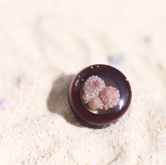 Seashell ear tunnel / Redwood earplug with Okinawan seashells | Etsy