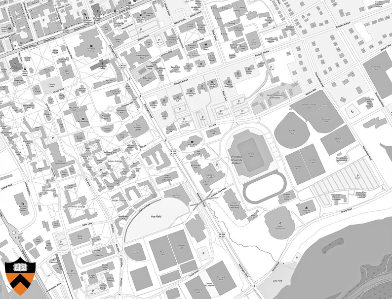 Princeton University Map - Etsy