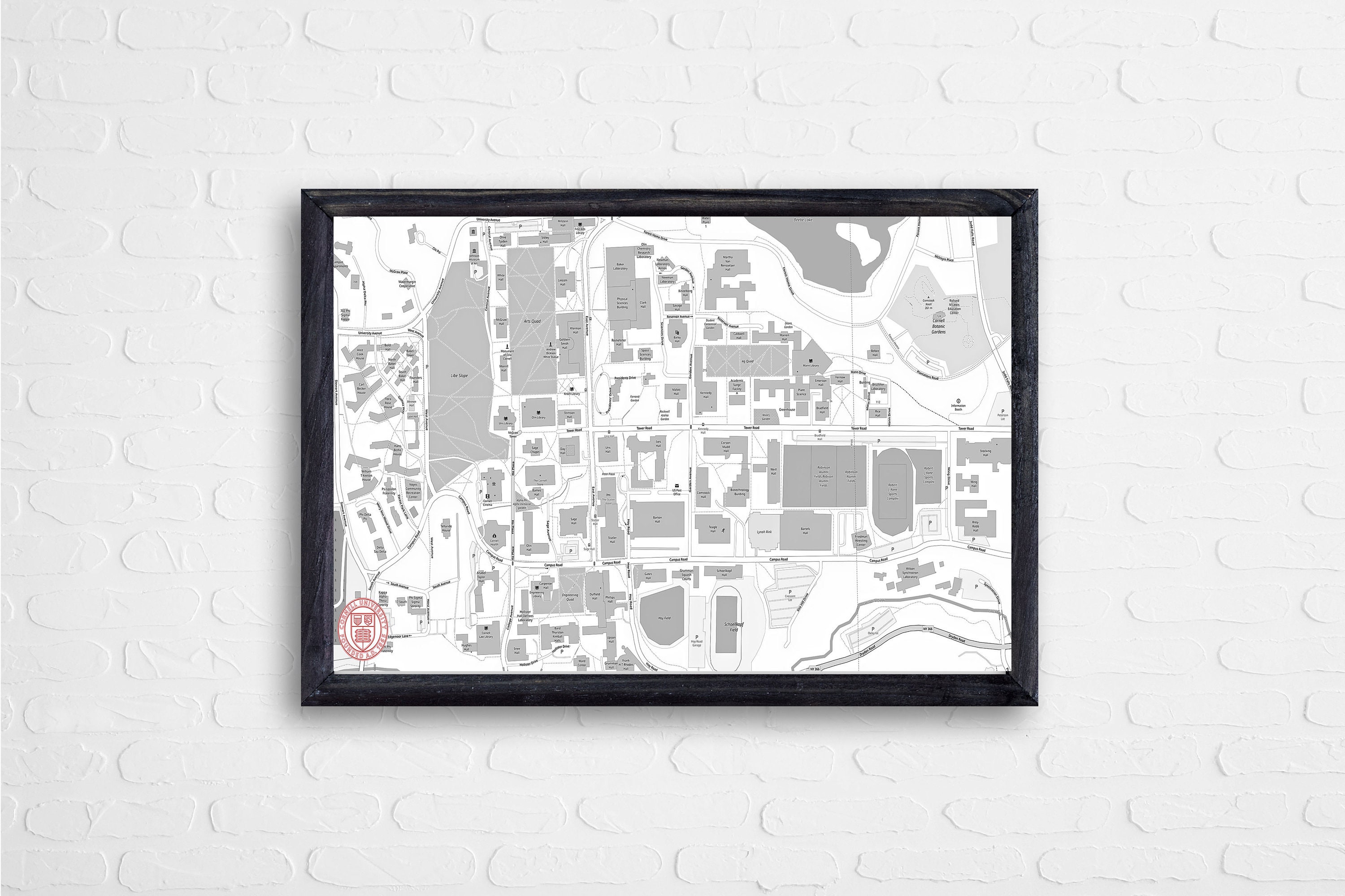 Cornell University Map - Etsy