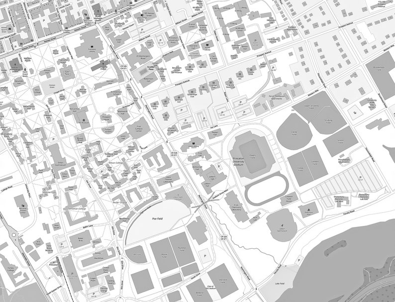 Princeton University Map - Etsy