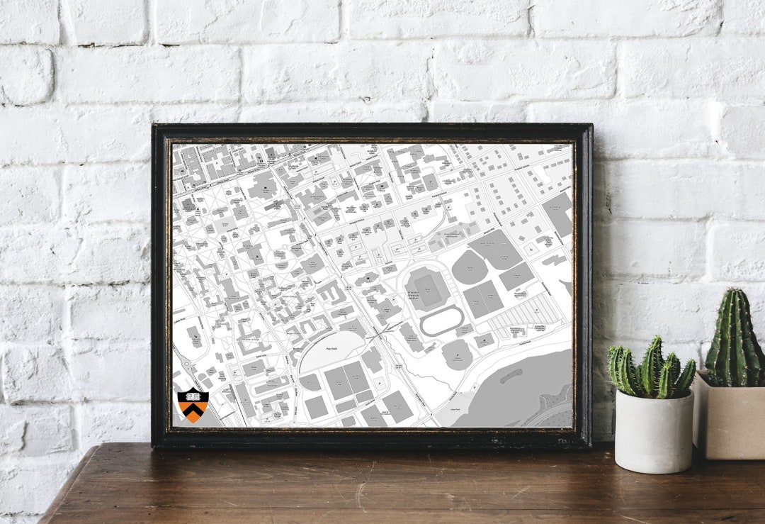 Princeton University Map - Etsy