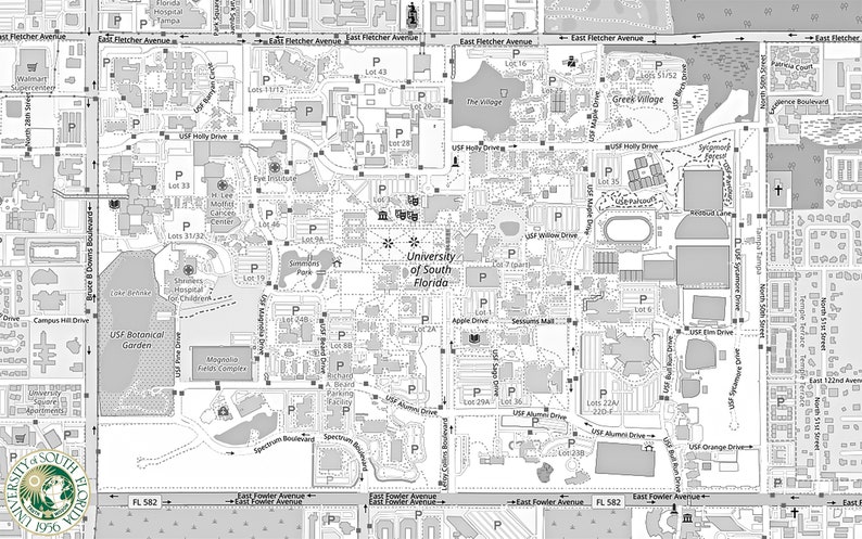 University of South Florida Map - Etsy