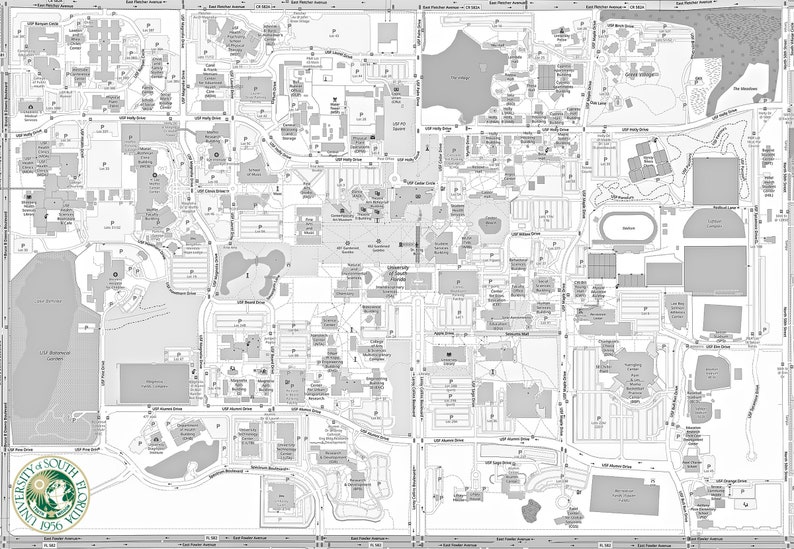 University of South Florida Map - Etsy