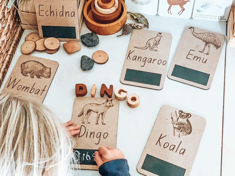 Australian Native Animal Flash Cards - Etsy Canada