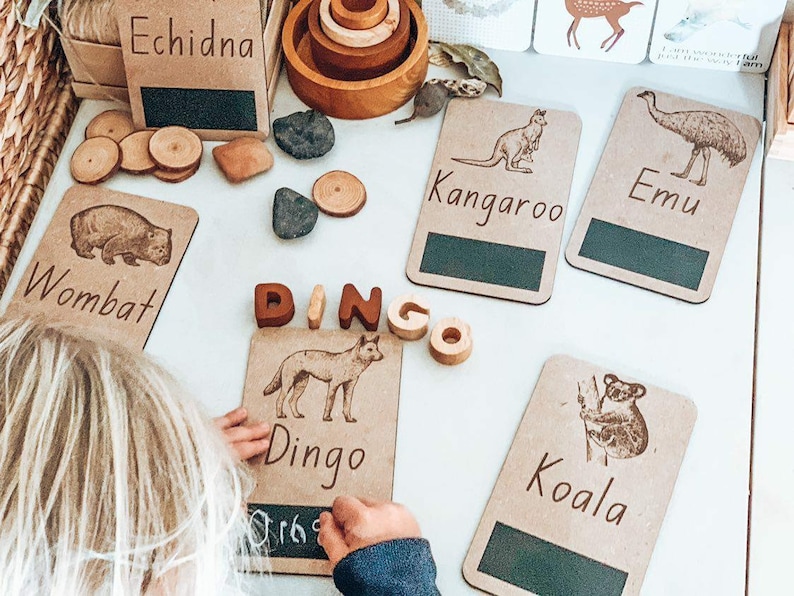 Australian Native Animal Flash Cards - Etsy Canada