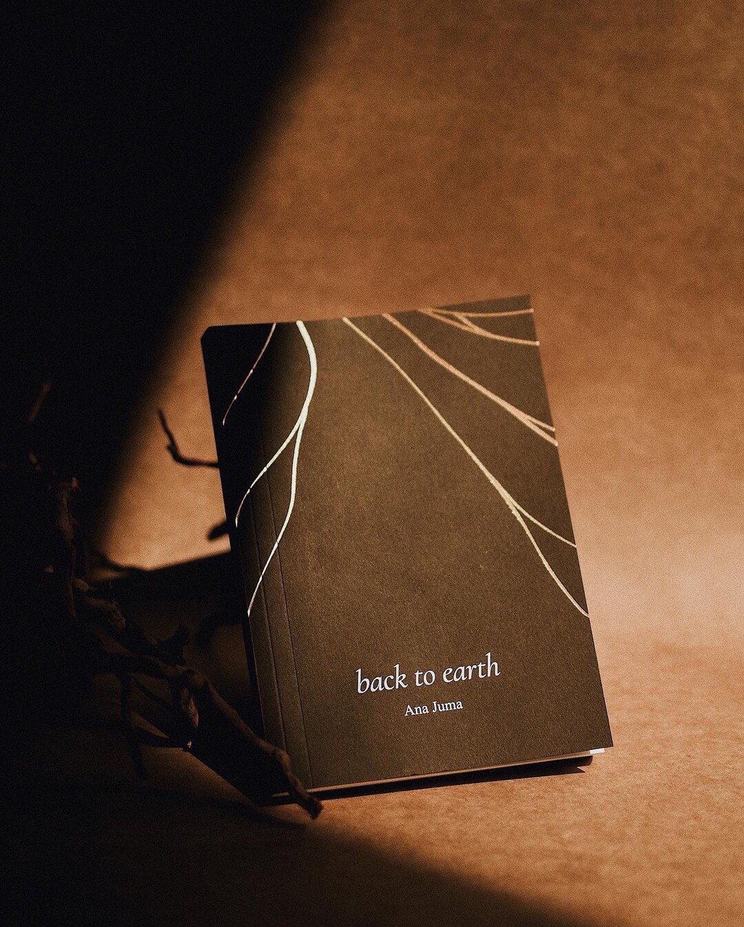 Poetry Book: Back to Earth by Ana Juma - Etsy