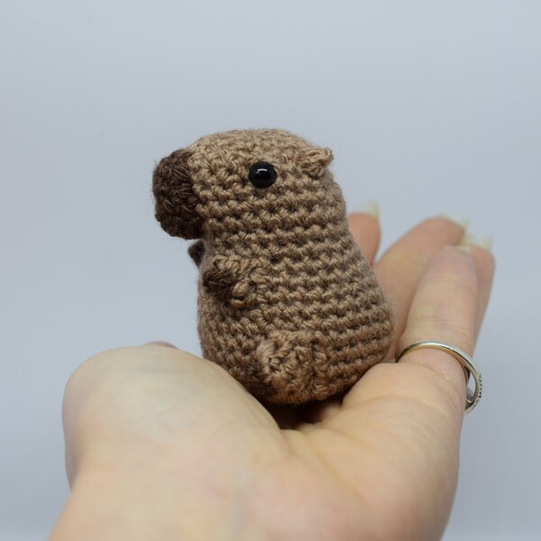 Capybara Pens - Etsy