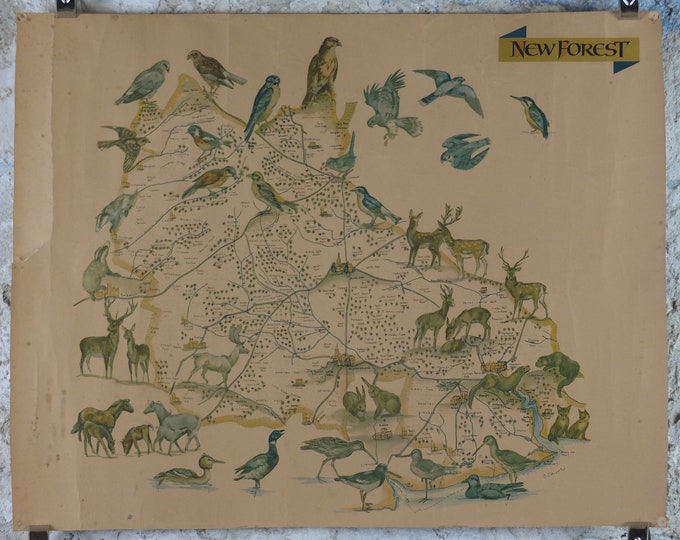 1900s New Forest Map Poster, by C.M. Moore, Birds, Animals, Travel and ...