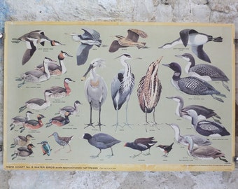 Vintage Rspb Poster - Etsy