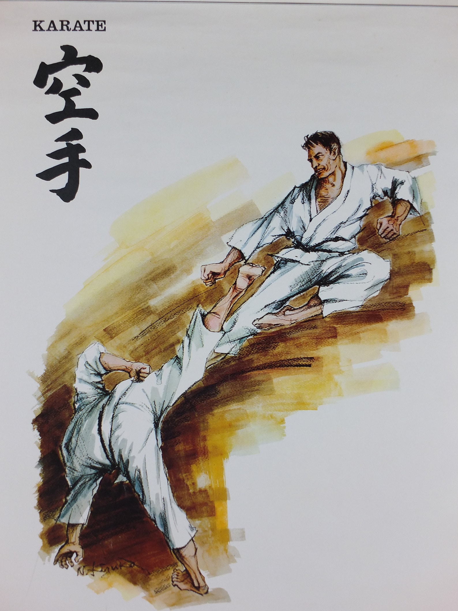 Vintage Karate Poster Martial Arts Showing a Flying Kick From - Etsy UK