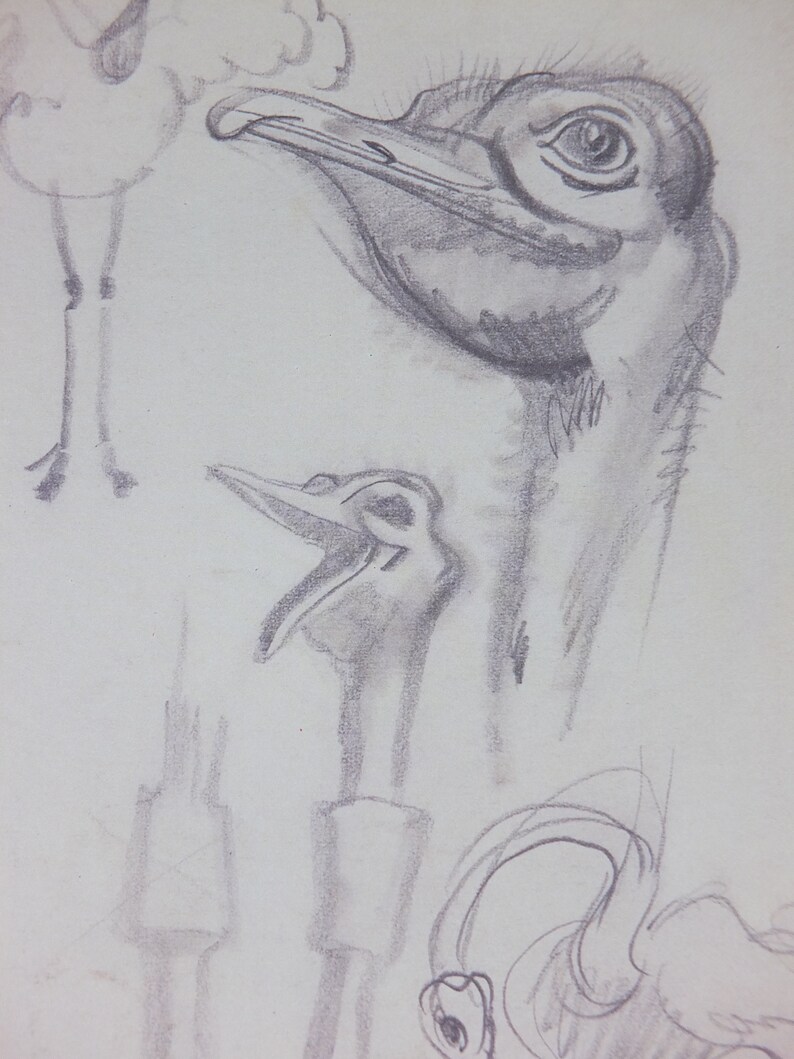 Guinness Ostrich Zoo Poster, by John Gilroy, Drafts in Pencil ...