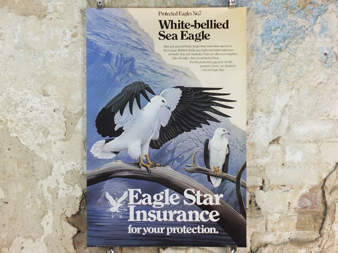 1980 White Bellied Sea Eagle Poster, Eagle Star Insurance, by Trevor ...