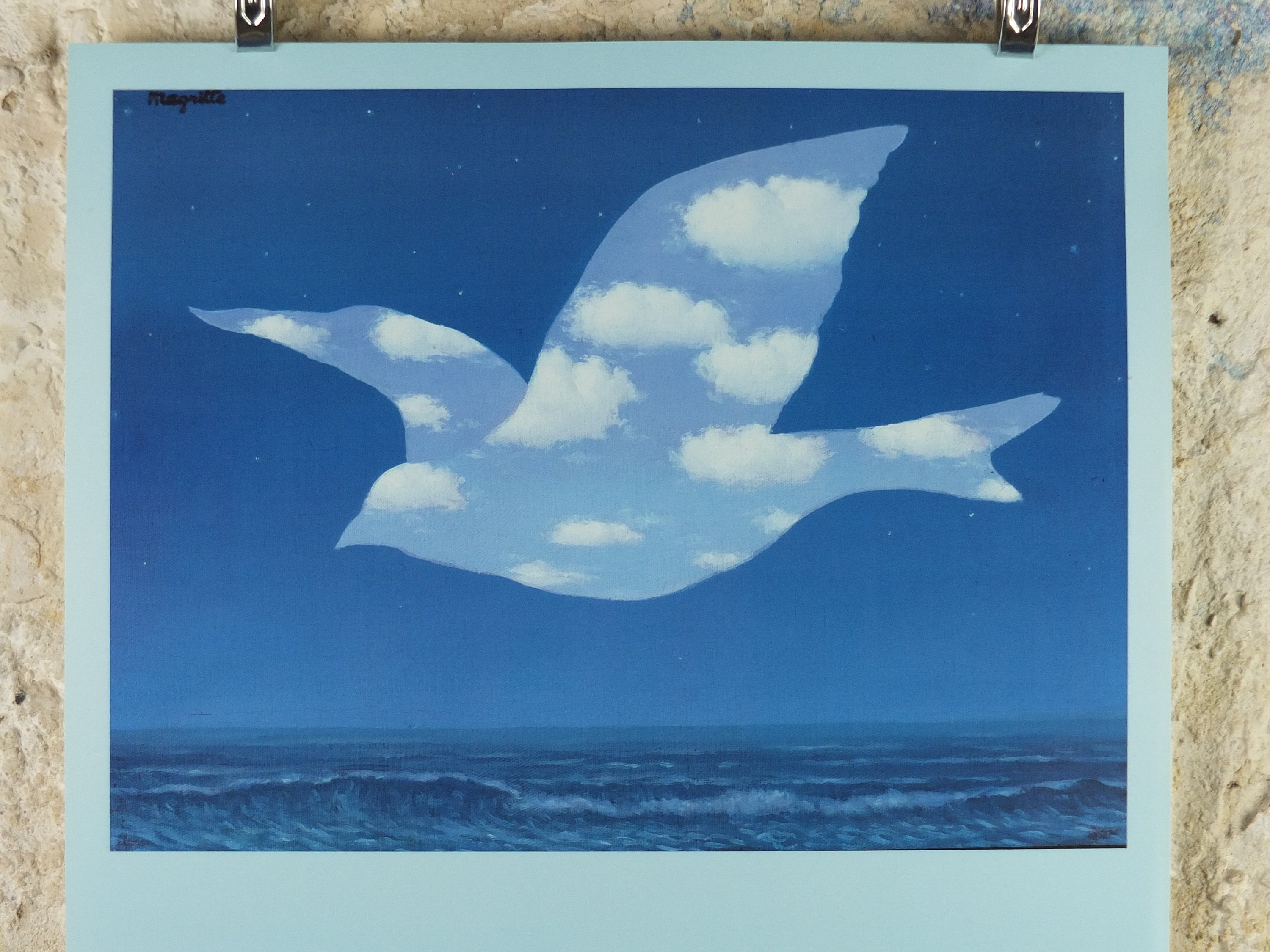 Rene Magritte Paintings Bird