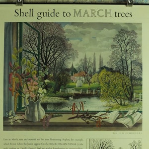 Vintage Shell Guide to March Trees Poster, Botanical School Education ...