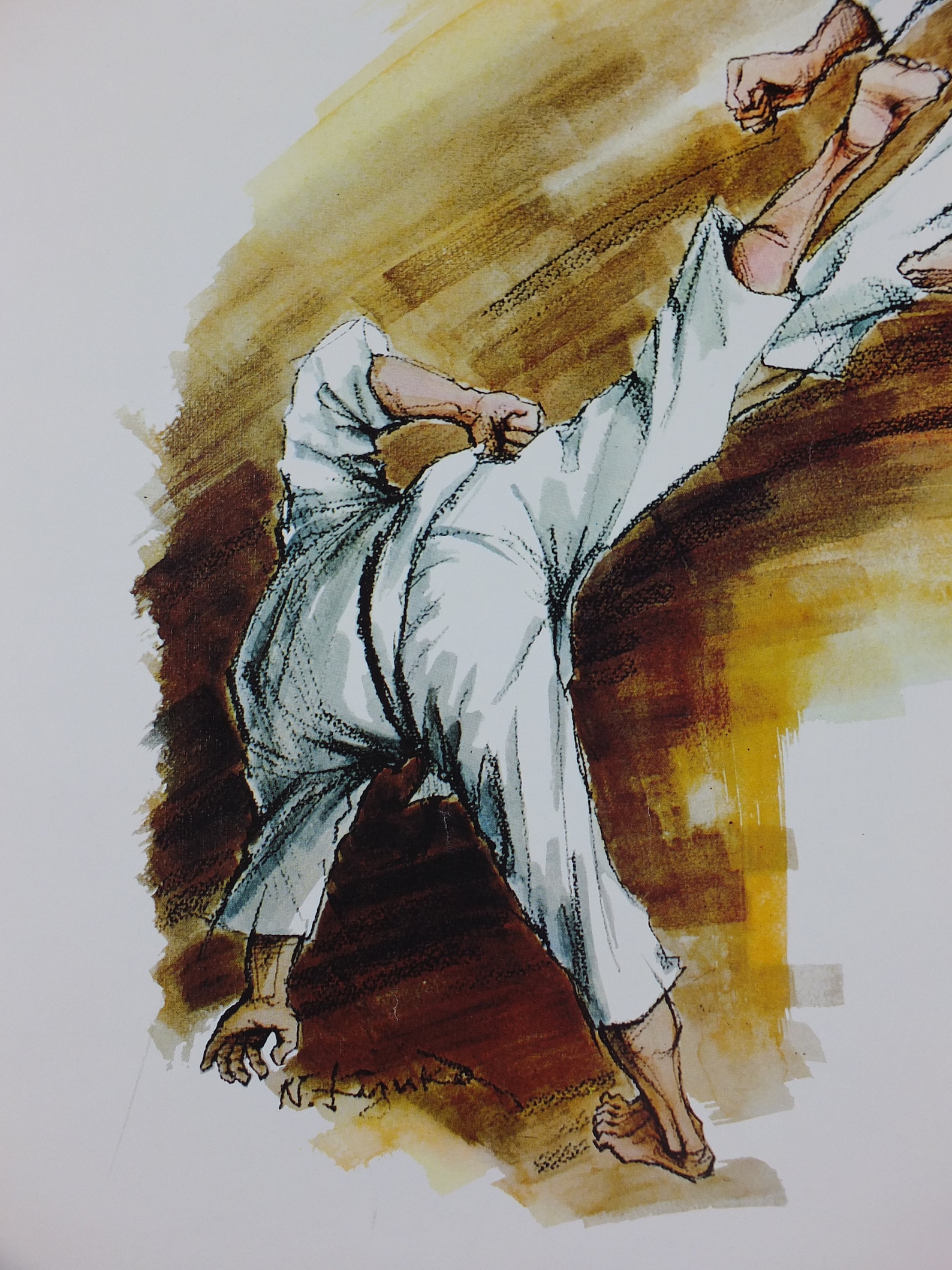 Vintage Karate Poster Martial Arts Showing a Flying Kick From - Etsy UK