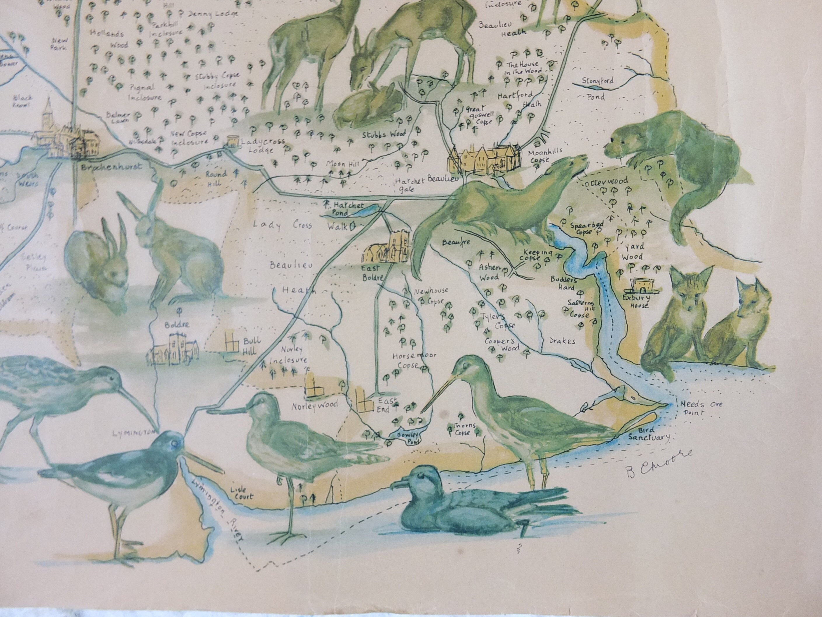 1900s New Forest Map Poster by C.M. Moore Birds Animals | Etsy